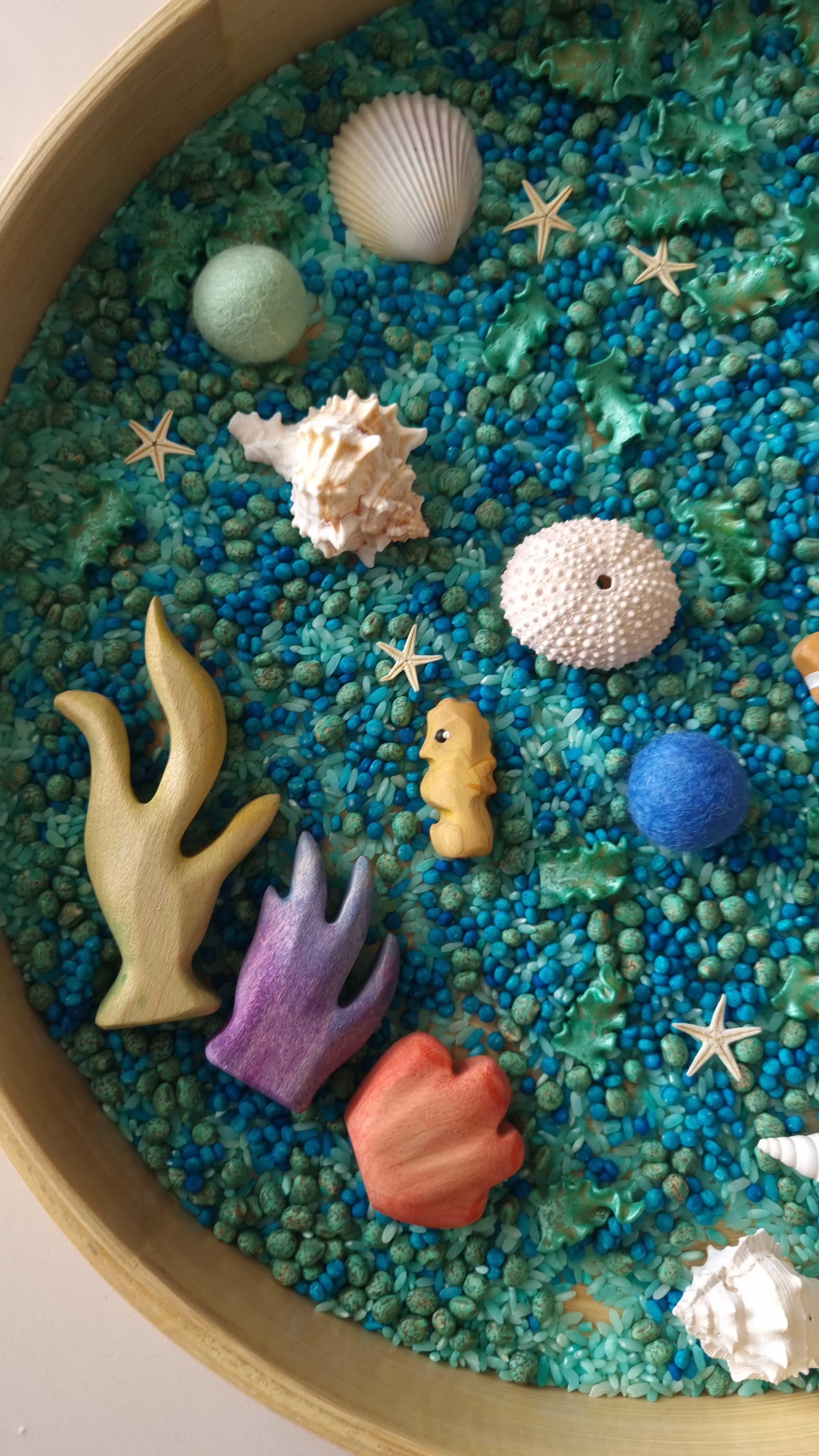 Explore the Rockpool Collection – Curious by Nature - Sensory Play