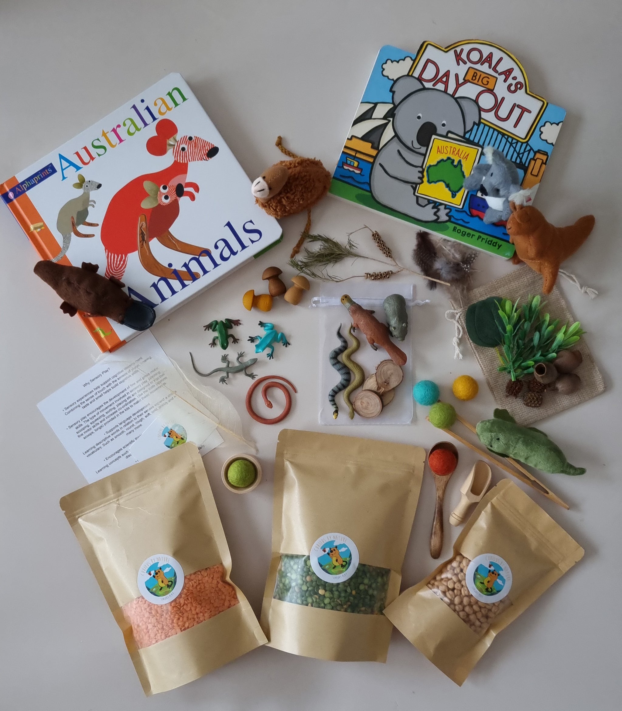 Australian Bush Sensory Kit – Curious by Nature - Sensory Play