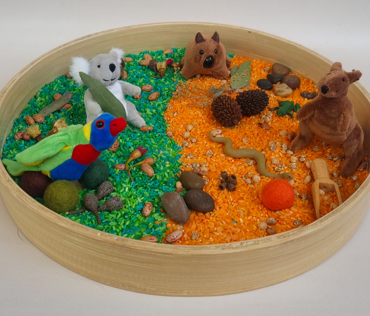 Australian Bush Sensory Kit – Curious by Nature - Sensory Play