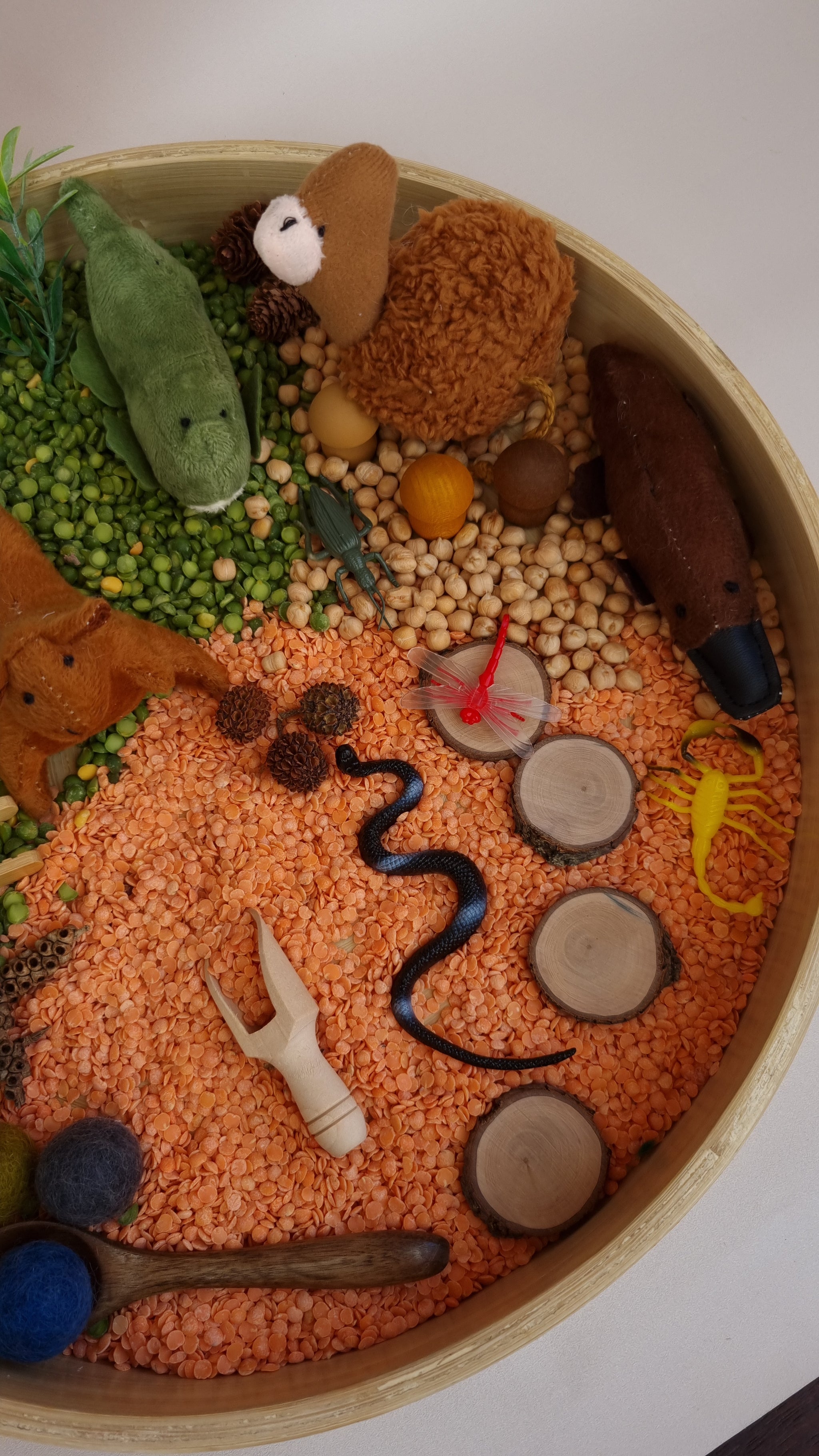 Australian Bush Sensory Kit – Curious by Nature - Sensory Play