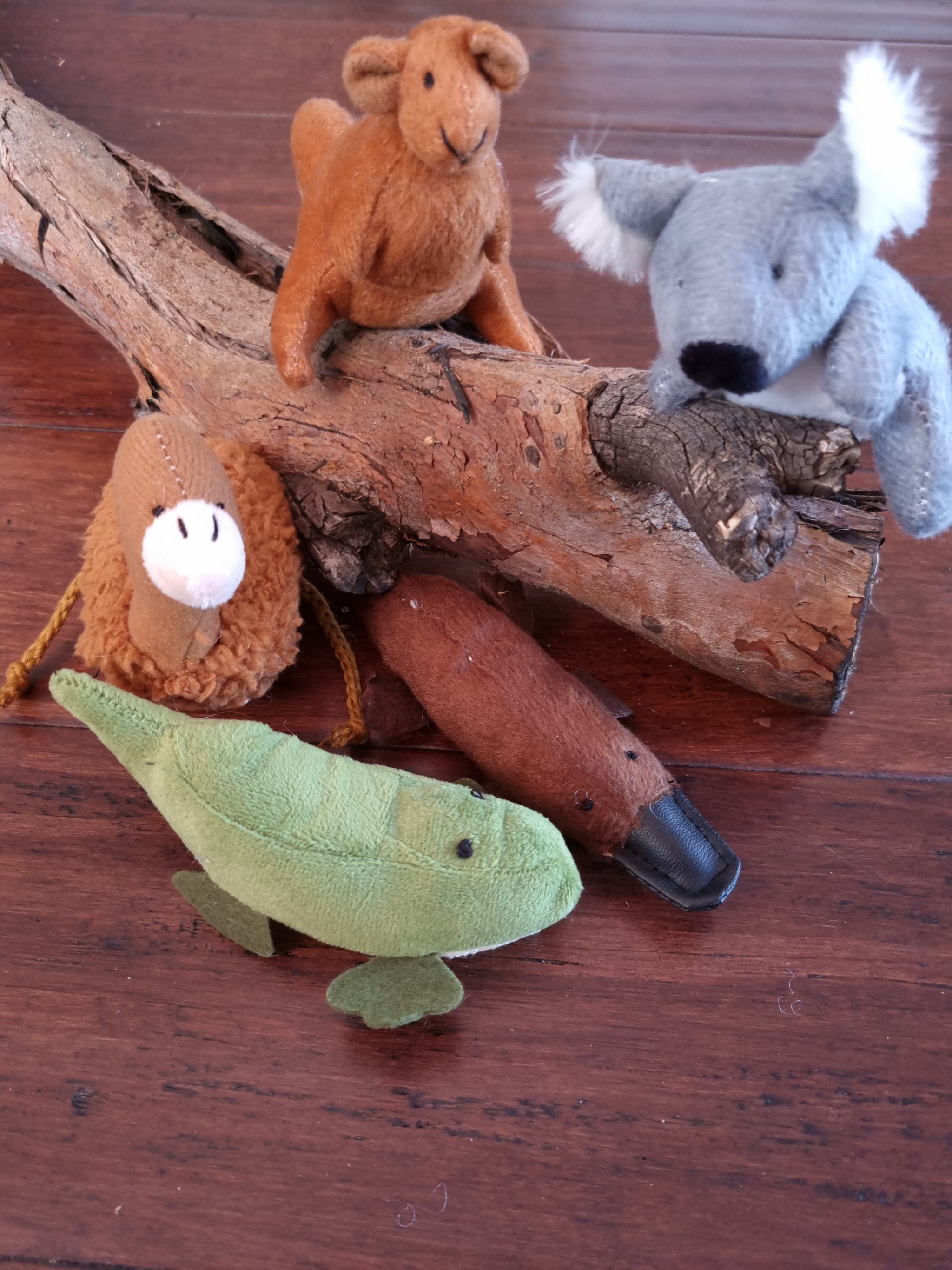 Australian Bush Sensory Kit – Curious by Nature - Sensory Play