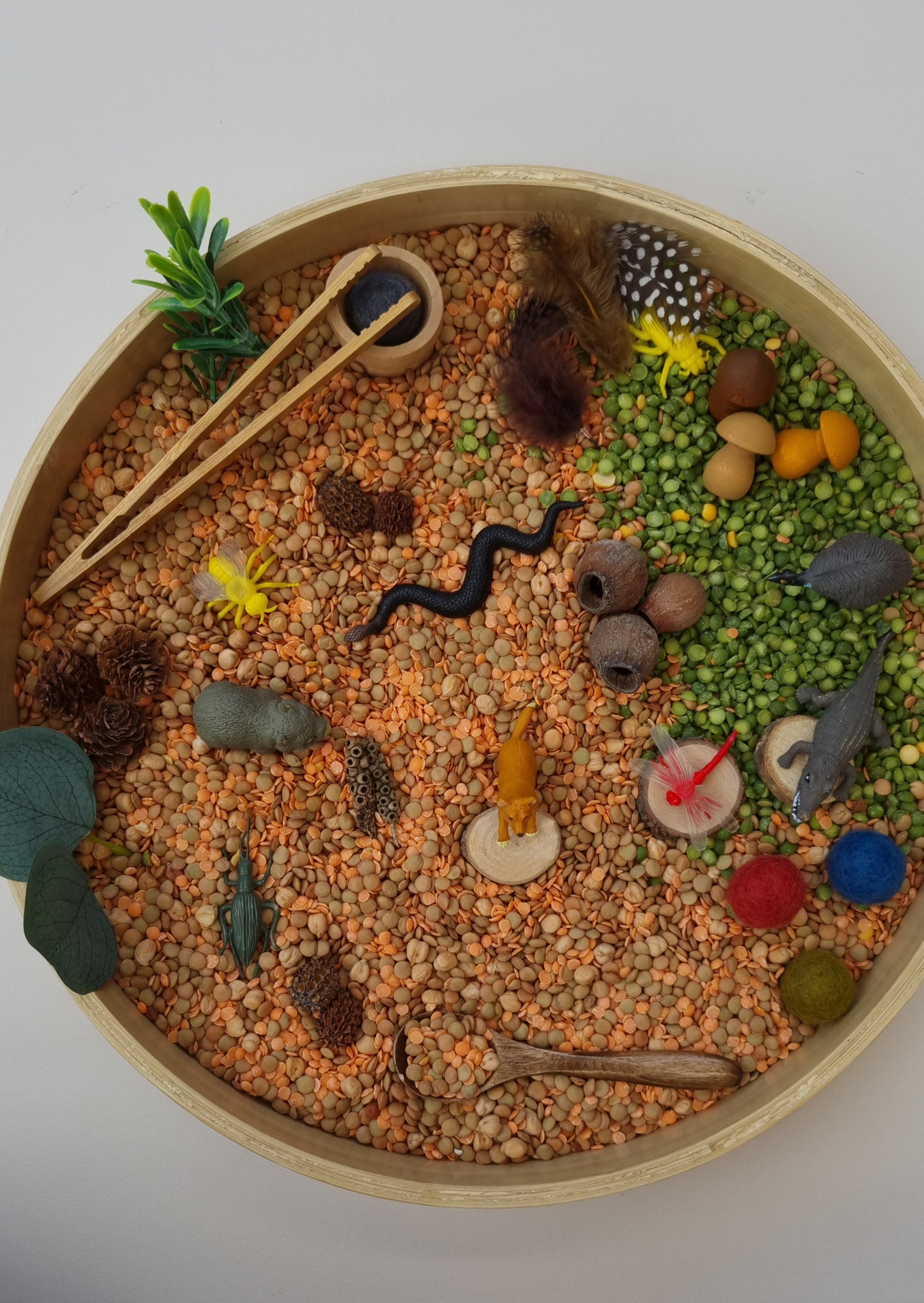 Australian Bush Sensory Kit – Curious by Nature - Sensory Play