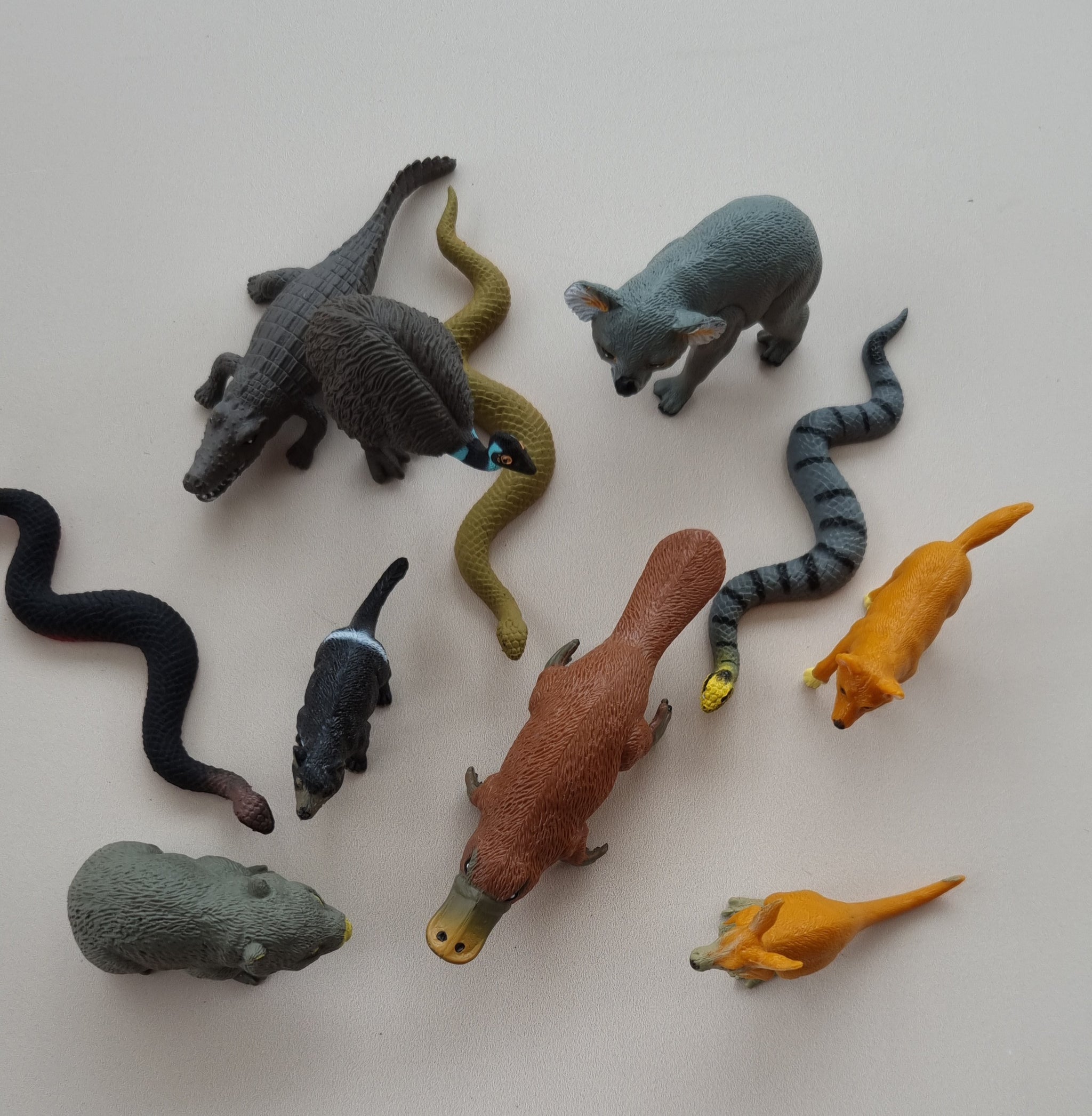 Australian Bush Sensory Kit – Curious by Nature - Sensory Play